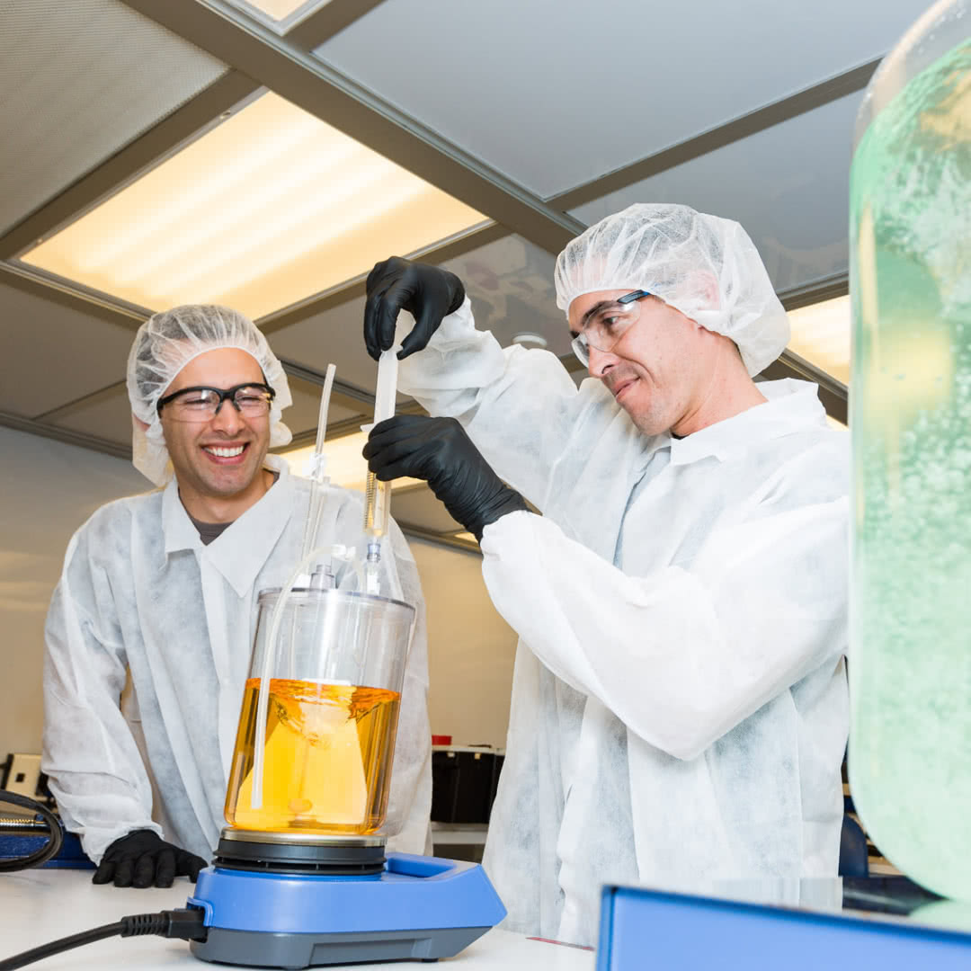 Gamma Stable Stir Bars - SaniSure